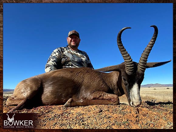 Black Springbok Hunting – About Hunting Black Springbok