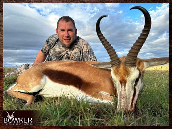 Springbok Hunting in - All You Need to Know About Springbok Hunts