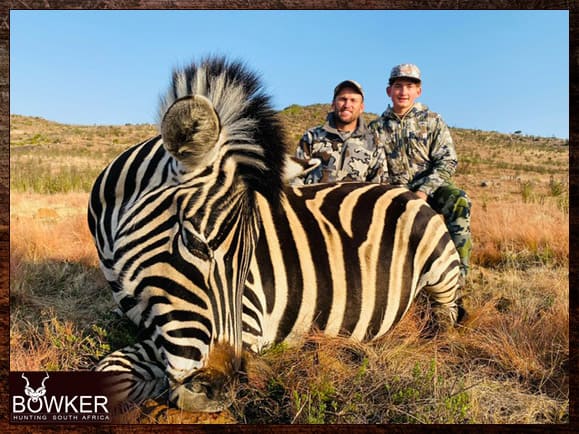 Zebra Hunting. All You Need to Know About Zebra Hunts.
