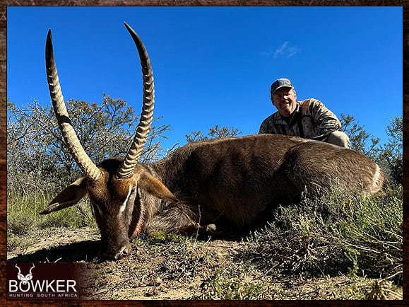Waterbuck Hunting - All You Need to Known About Hunting Waterbuck
