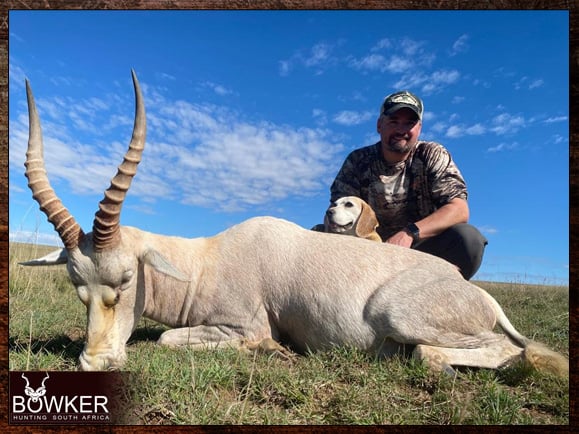 Blesbok Hunting - Field Guide & Tips for Hunting Blesbok