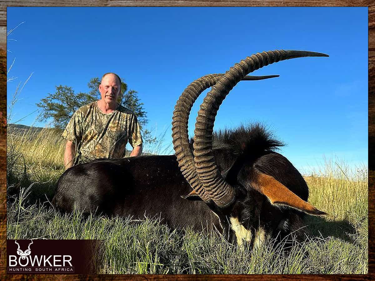African Hunting Packages. Calculate Your Africa Safari Hunt Trip Cost