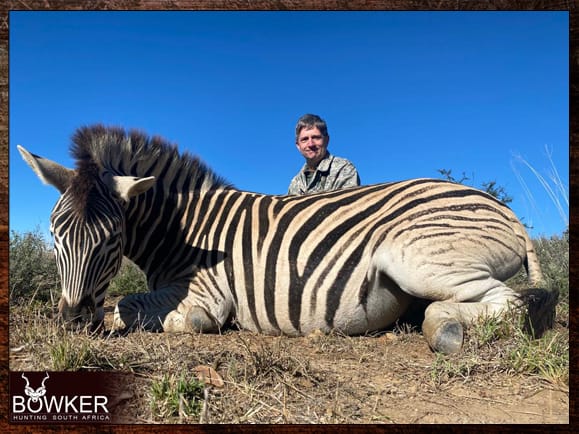 Zebra Hunting. All You Need to Know About Zebra Hunts.