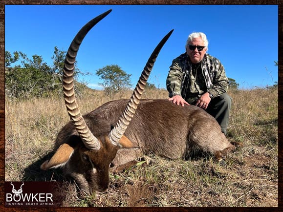 Waterbuck Hunting - All You Need to Known About Hunting Waterbuck