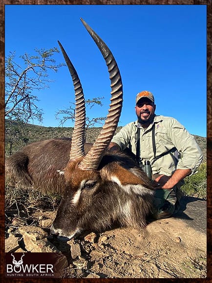 Waterbuck Hunting - All You Need to Known About Hunting Waterbuck