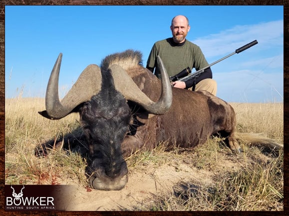Black Wildebeest Hunting -All About Black Wildebeest Hunts