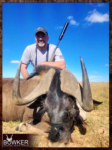 Black Wildebeest Hunting -All About Black Wildebeest Hunts