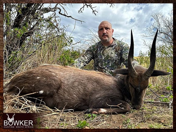 Bushbuck Hunting - Discover the Thrill of a Bushbuck Hunt