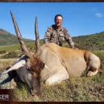 Eland Hunting - All You Need to know About Hunting Cape Eland