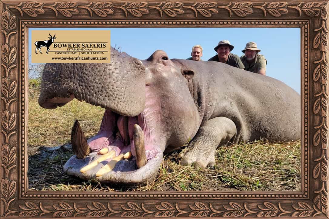 Thrilling and Memorable Dangerous Game Hunting Adventures