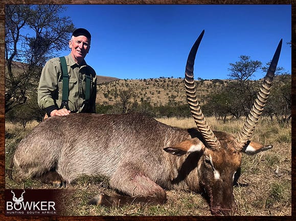 Waterbuck Hunting - All You Need to Known About Hunting Waterbuck