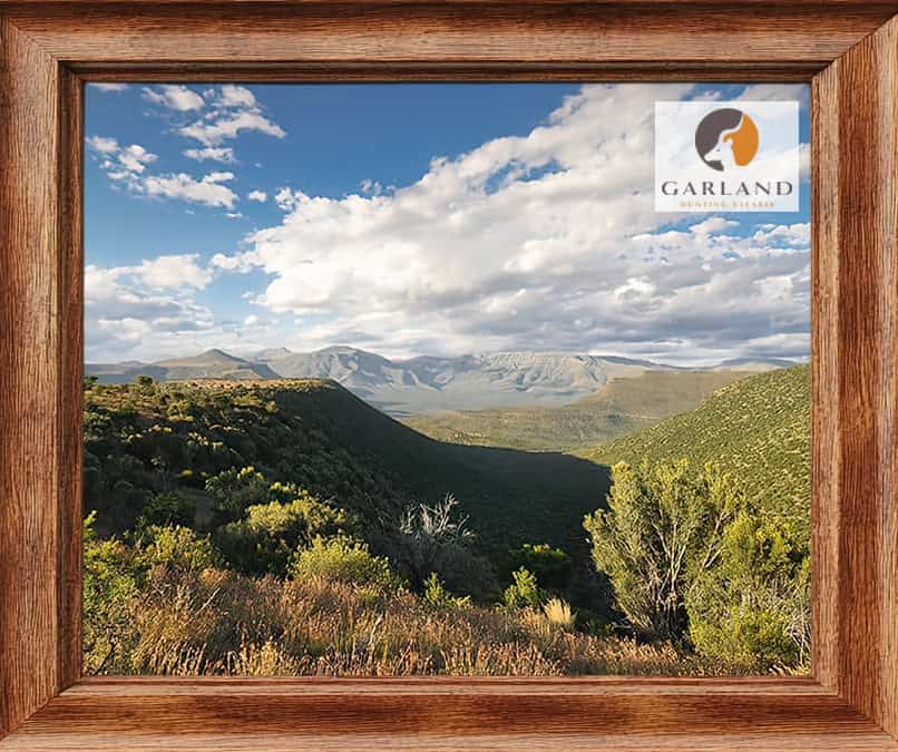 Garland Safaris: Embark on an Explosive Adventure