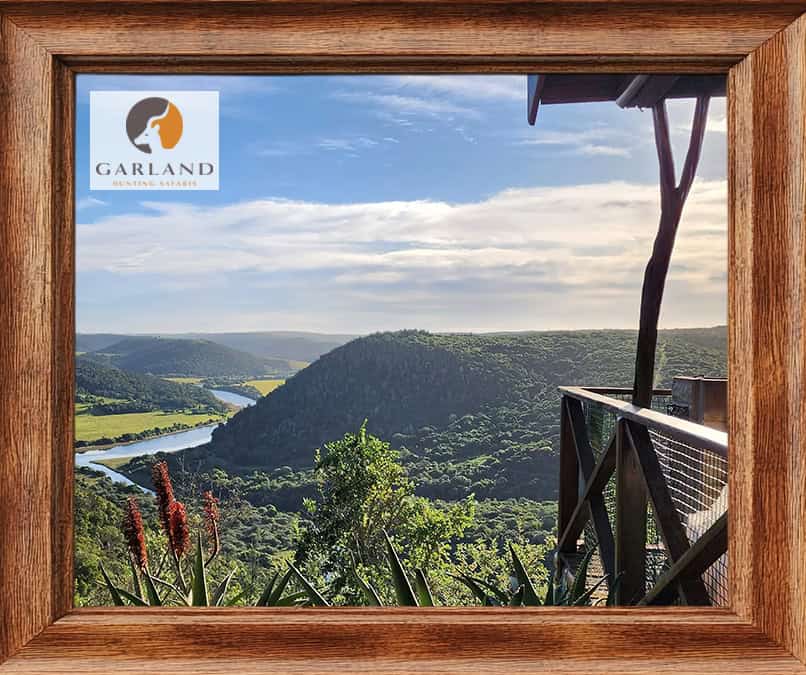 Garland Safaris: Embark on an Explosive Adventure