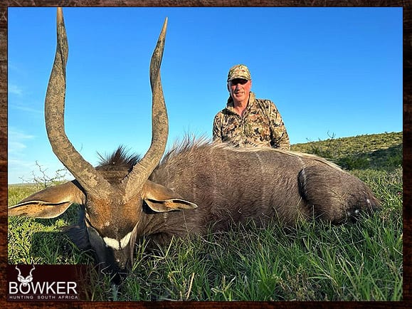 Nyala Hunting - All You Need to Know About Nyala Hunts