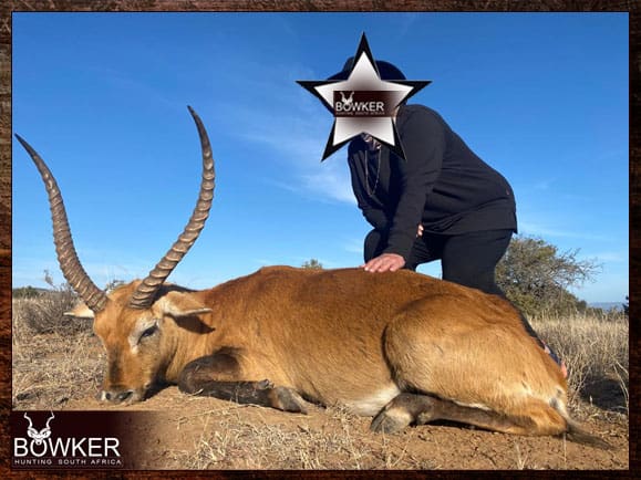 Red Lechwe Hunting. All You Need to Know About Lechwe Hunts