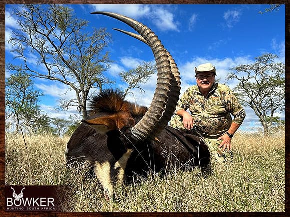 The Thrill of Sable Antelope Hunting: Guide to Hunting Sable