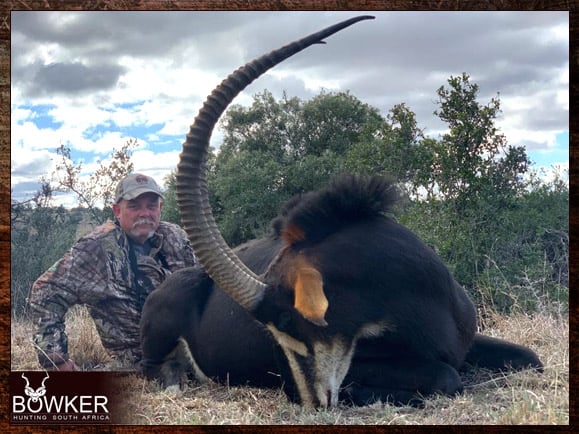 The Thrill of Sable Antelope Hunting: Guide to Hunting Sable