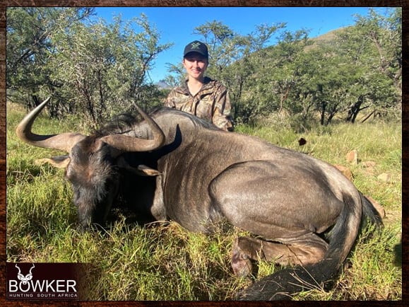 Blue Wildebeest Hunting - Wildebeest Hunts Tips & Techniques