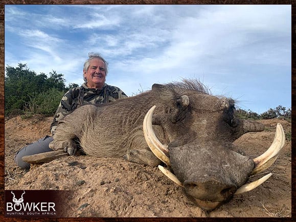 Warthog Hunting - All You Need to Know About Warthog Hunts