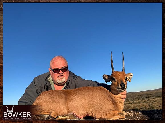 Steenbok Hunting - All You Need to Known About Hunting Steenbok