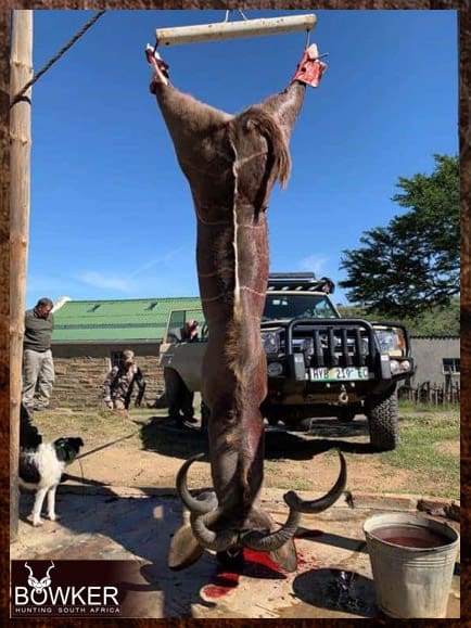 Trophy Hunting South Africa