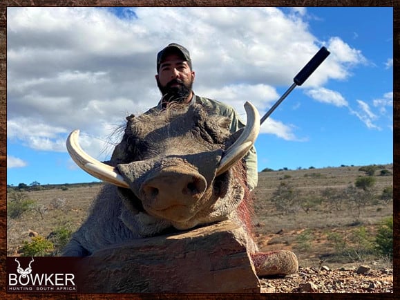 Warthog Hunting - All You Need to Know About Warthog Hunts