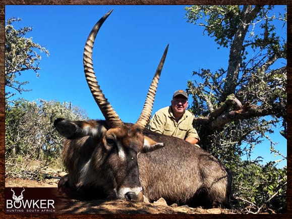Waterbuck Hunting - All You Need to Known About Hunting Waterbuck