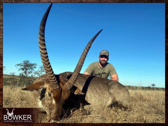 Waterbuck Hunting - All You Need to Known About Hunting Waterbuck