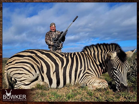 Zebra Hunting. All You Need to Know About Zebra Hunts.