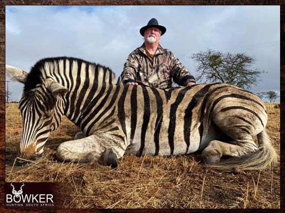 Zebra Hunting. All You Need to Know About Zebra Hunts.