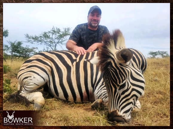 Zebra Hunting. All You Need to Know About Zebra Hunts.